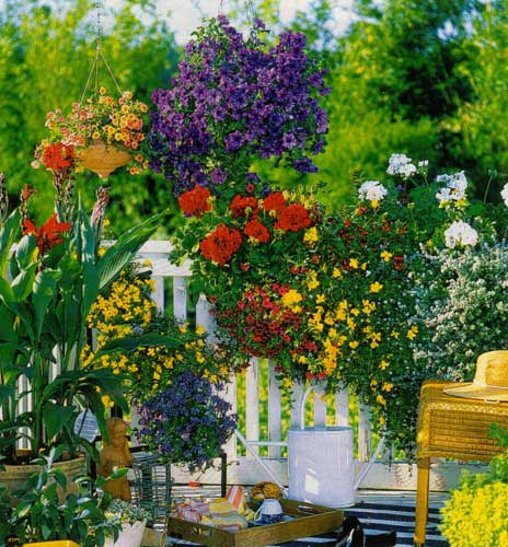 Flowering balconies and terraces | Ideas for Home Garden Bedroom ...